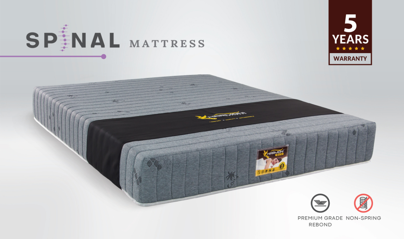 Spinal - Harmoni Online Store